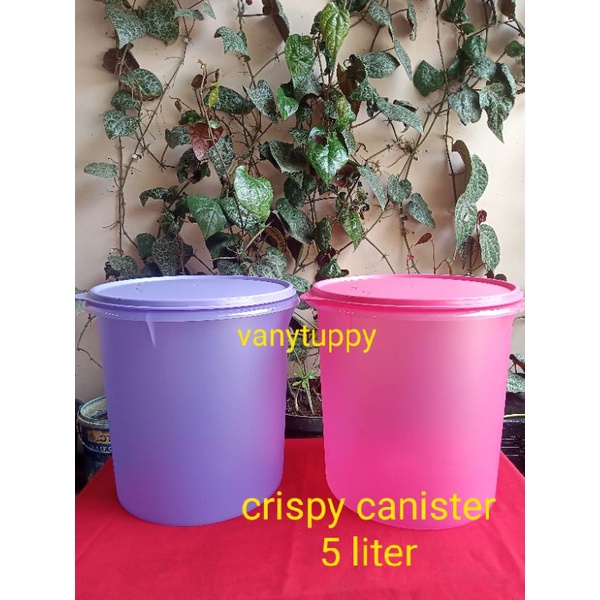 Jual Toples krupuk crispy canister / Maxi canister 5.5 liter Tupperware ...