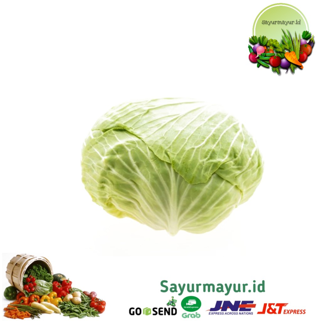 Jual KUBIS / KOL PUTIH PER 1/4 (250 GRAM) | Shopee Indonesia