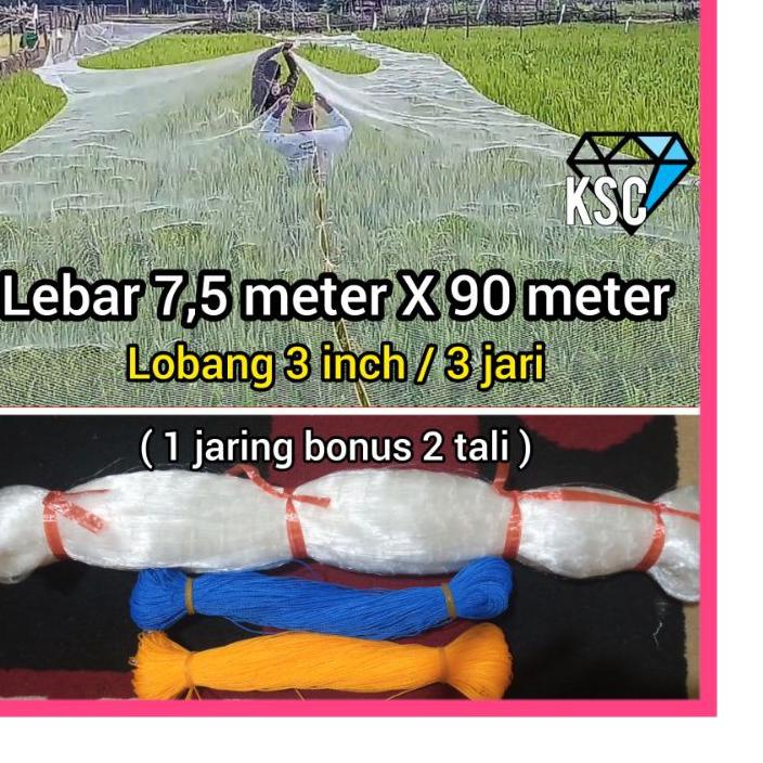 Jual JARING BURUNG /JARING PENUTUP SAWAH / JARING PADI / JARING SAWAH ...