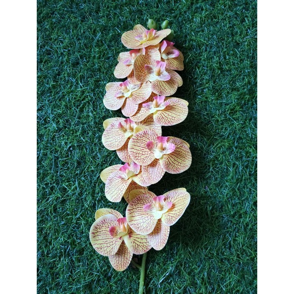 Jual bunga anggrek latex 5 tangkai super rimbun pot bola | Shopee Indonesia