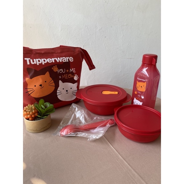Jual tempat makan anak lengkap lucu dan cantik meow tupperware harga ...