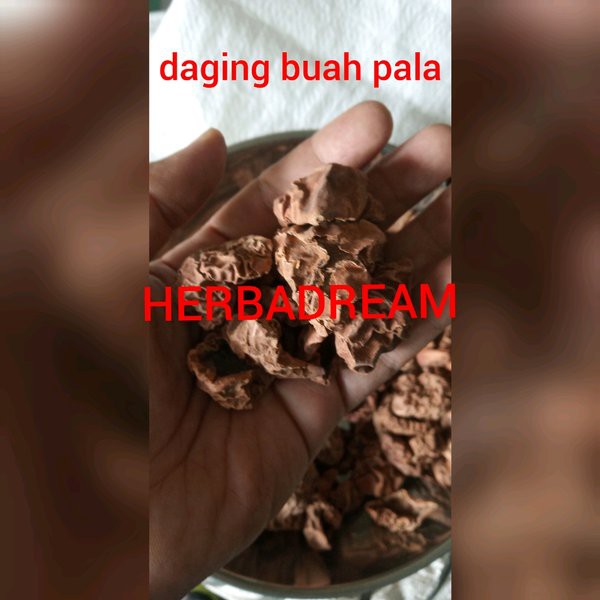 Jual PREMIUM ORGANIK DAGING KULIT BUAH PALA POLO NUTMEG ROU DOU KOU ...