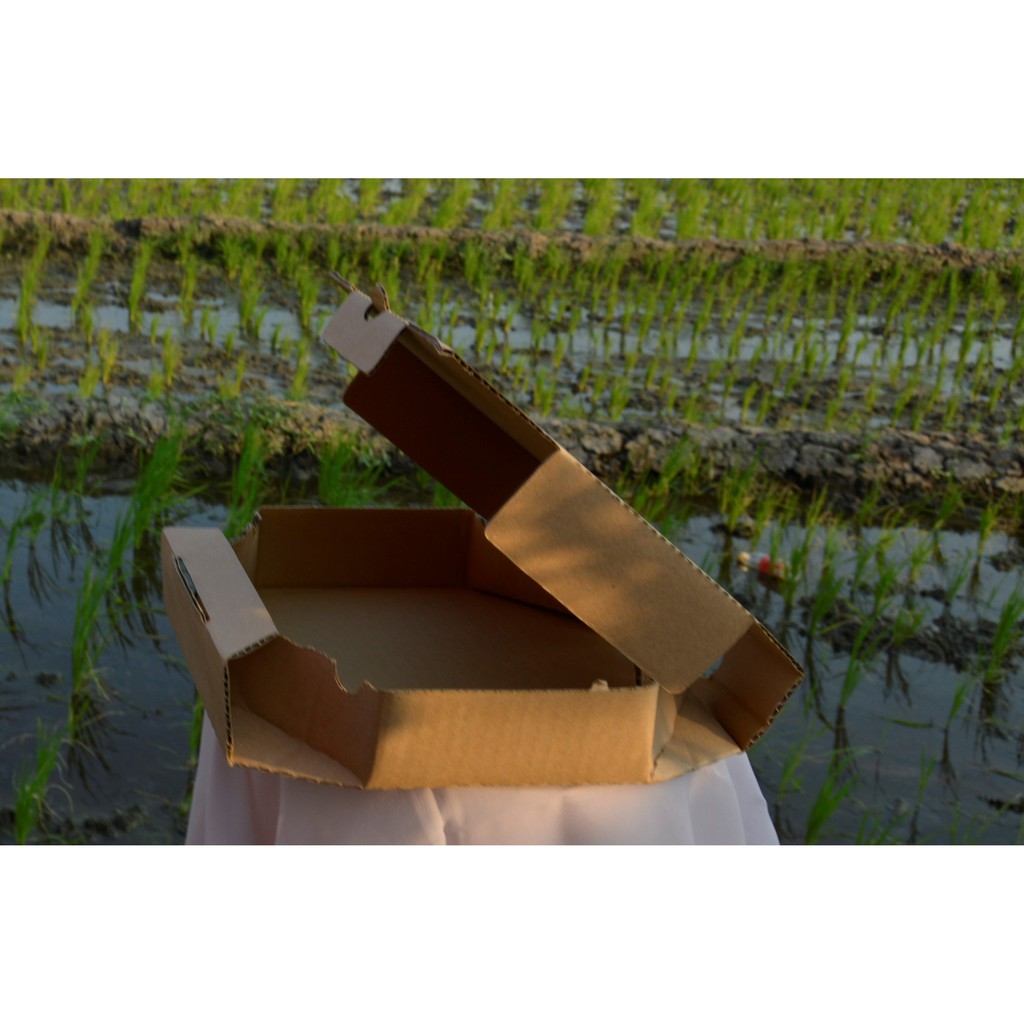 Jual box pizza | Shopee Indonesia