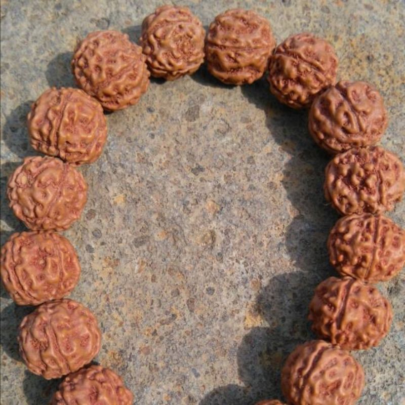 Jual gelang Jenitri rudraksha random murah | Shopee Indonesia