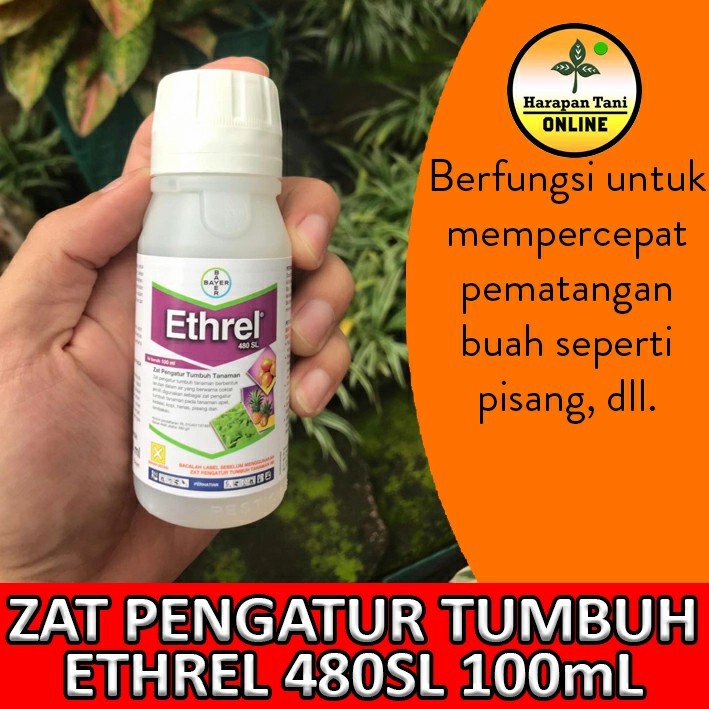 Jual Ethrel 480SL 100mL | Etafon | Pematang buah Pisang, dll | Shopee ...