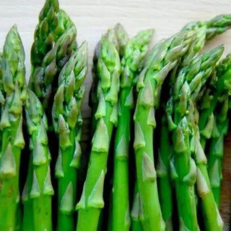 Jual 4 Biji Benih tanaman sayur sayuran Asparagus Green UC800 Hibrida ...