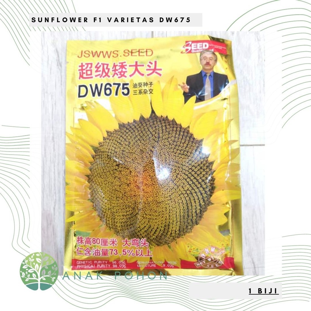 Jual Benih Bibit Biji - Sunflower Black Oil F1 Varietas DW675 Kuaci ...