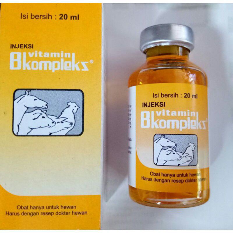 Jual Vitamin B komplek injeksi 20 ml | Shopee Indonesia