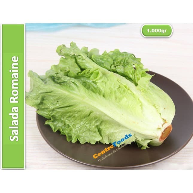 Jual Salada Romen - Selada Romaine Lettuce Fresh | 1.000gr [ Harga Per KG ] | Shopee Indonesia