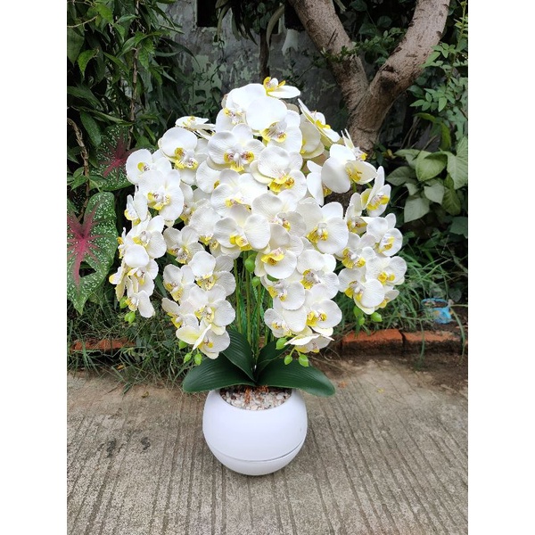 Jual bunga anggrek latex 5 tangkai super rimbun pot bola | Shopee Indonesia