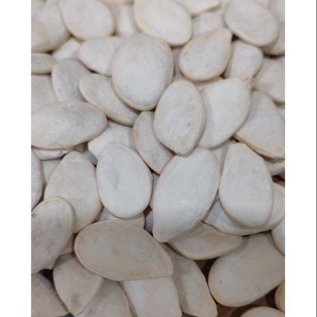 Jual KUACI PUTIH BIJI LABU (100g) | Shopee Indonesia