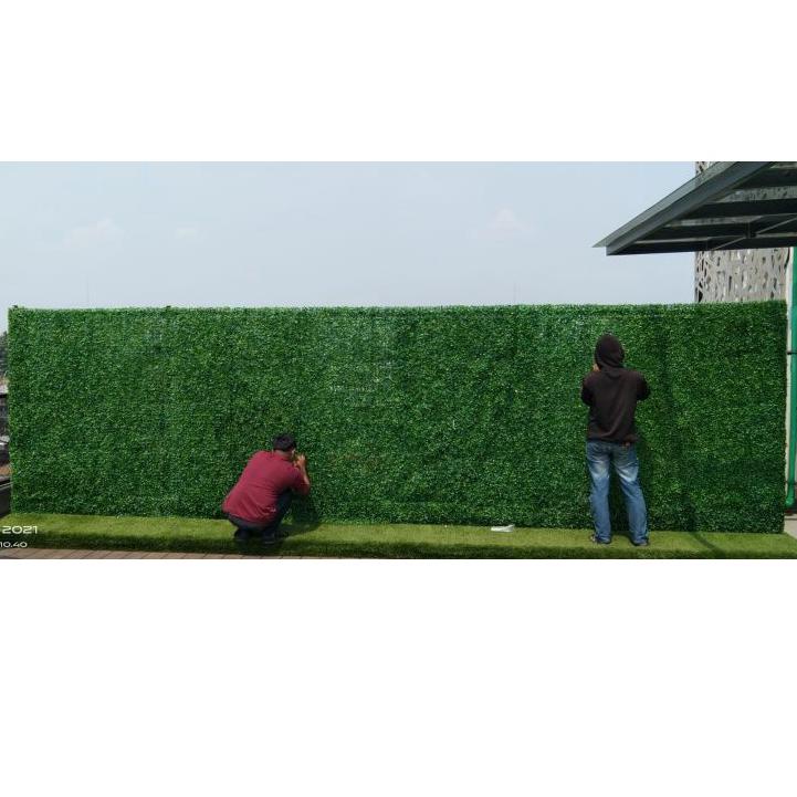 Jual Terbaik DAUN RAMBAT DOLAR, DAUN SINTETIS, DAUN PLASTIK, TANAMAN ...