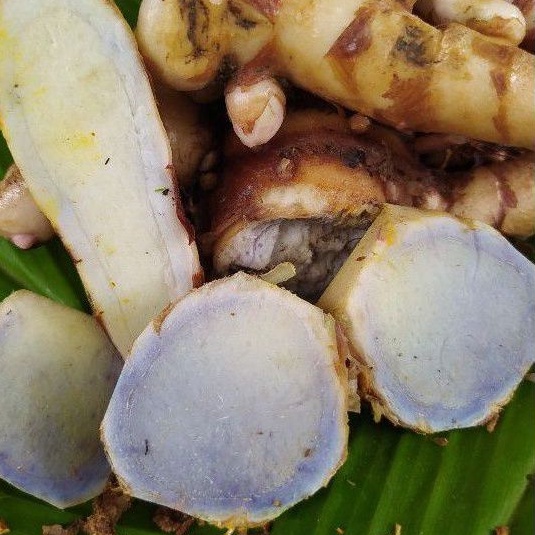 Jual temu ireng jumbo & iris kering 1kg | Shopee Indonesia