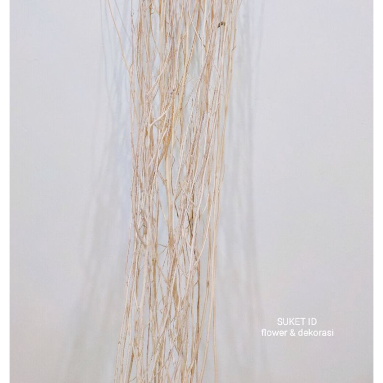 Jual Ranting Kering Dekorasi Aesthetic | Shopee Indonesia