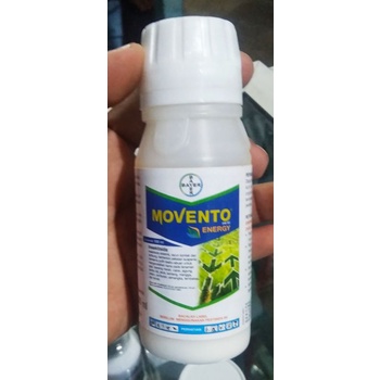 Jual Insektisida Movento 240 SC 100 mili pembasmi hama kutu kutuan pada ...