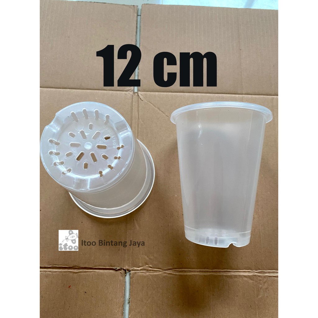 Jual Pot Bening Bunga Tanaman Tower 12 Untuk Cek Pertumbuhan Akar ...