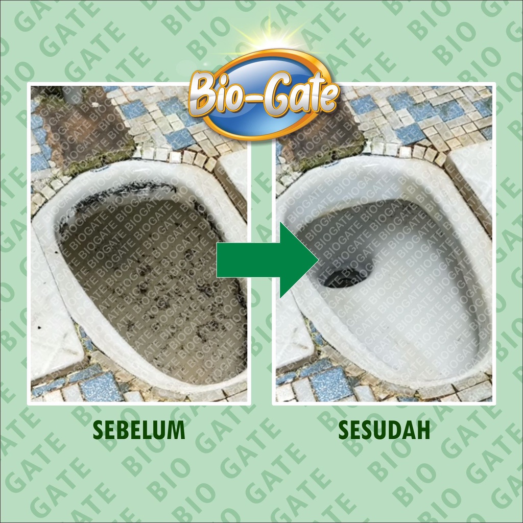 Jual Bio Gate Formula Pelancar Kloset Mampet | Probiotik Pengurai ...