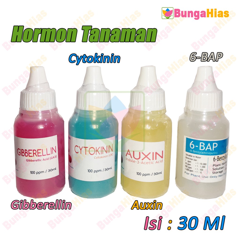 Jual Hormon Tanaman 6-BAP Auksin Giberelin Sitokinin 30 ML Bunga Buah ...
