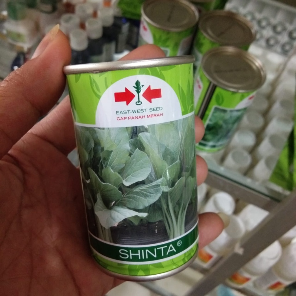 Jual Benih Sayuran Caisim Shinta dan Tosakan Cap Panah Merah 25gr 100gr ...