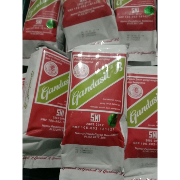 Jual Gandasil B 500gr | Shopee Indonesia