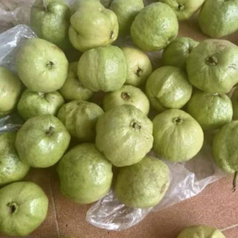 Jual Jambu cristal/jambu cristal jawa _ 1kg | Shopee Indonesia