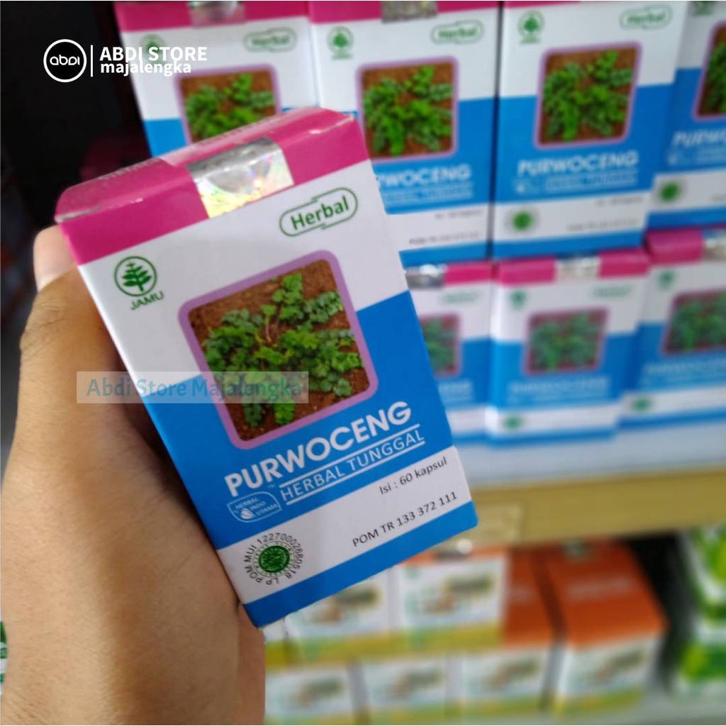 Jual Herbal DAUN PURWOCENG- Kapsul PURWOCENG - HIU PURWOCENG- HERBAL ...