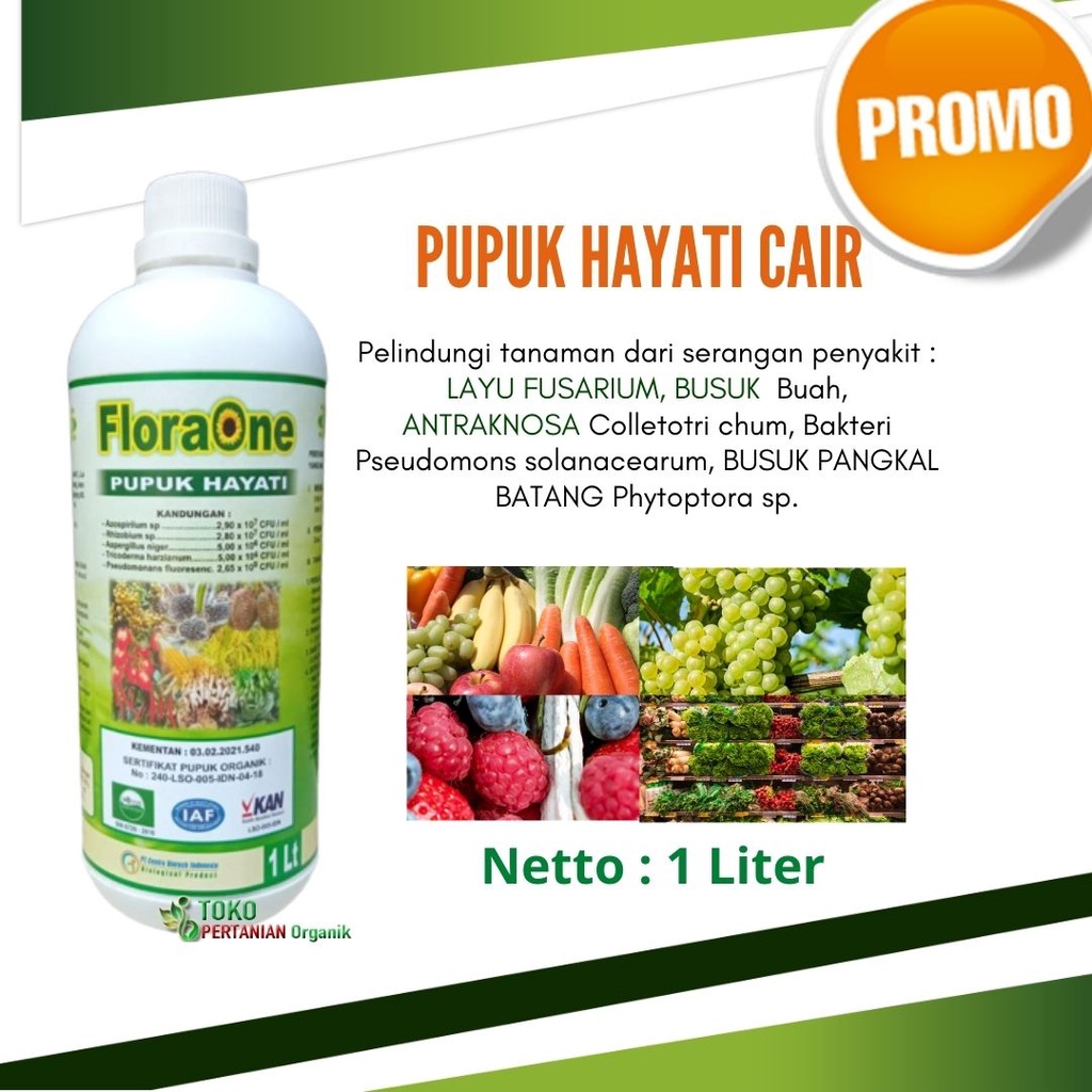 Jual Obat tanaman terong daun kuning - BUSUK BUAH terong ungu, Bercak ...