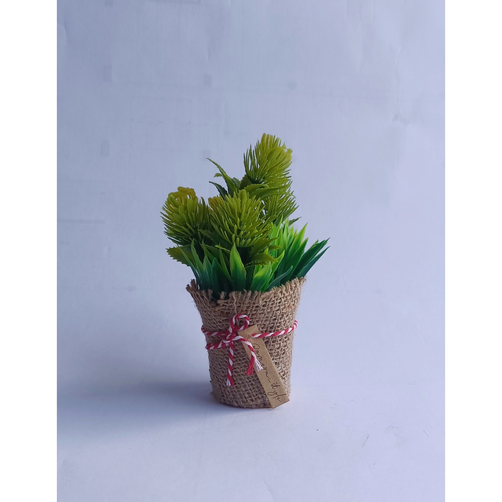 Jual Artificial Bunga Tanaman Pot Kain Goni Mini Daun Rumput Souvenir ...