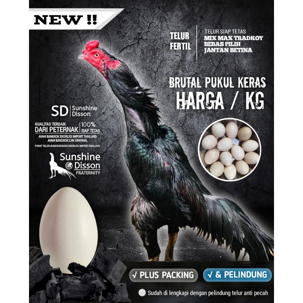 Jual ayam bangkok pakhoy blackbull line f1 telur siap tetas per kg ...