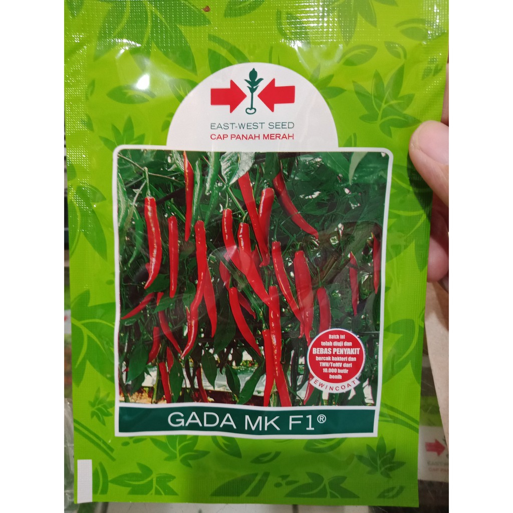 Jual Benih Cabe Merah GADA MK Cap Panah Merah isi 1500 butir | Shopee ...