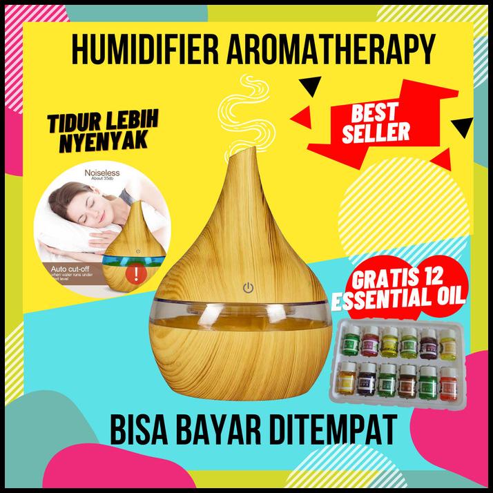 Jual Air Humidifier 300 Ml Diffuser Pengharum Ruangan Aromaterapi ...