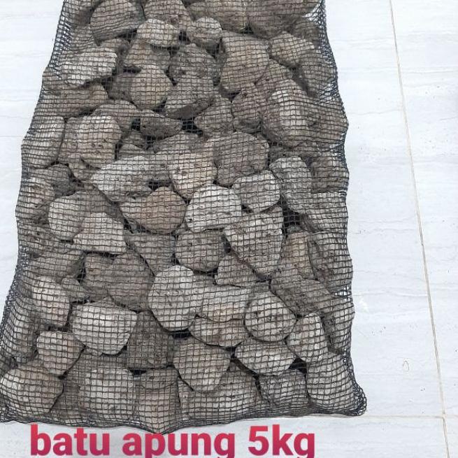 Jual media filter batu apung pumice stone kemasan 5kg | Shopee Indonesia