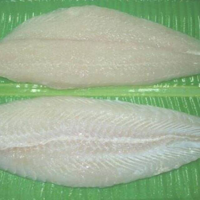 Jual DORI FILLET PREMIUM NON BLOOD LINE ( PARUNG PANJANG ) | Shopee ...