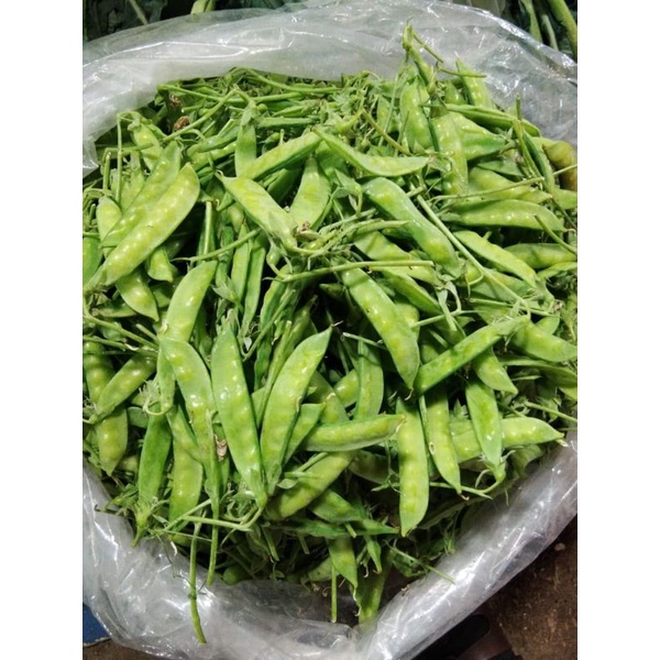 Jual Arcis sayur 500 gram | Shopee Indonesia