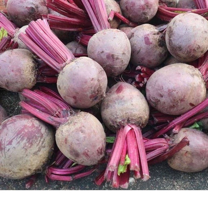 Jual Buah Bit Beet Root Segar (1kg) | Shopee Indonesia