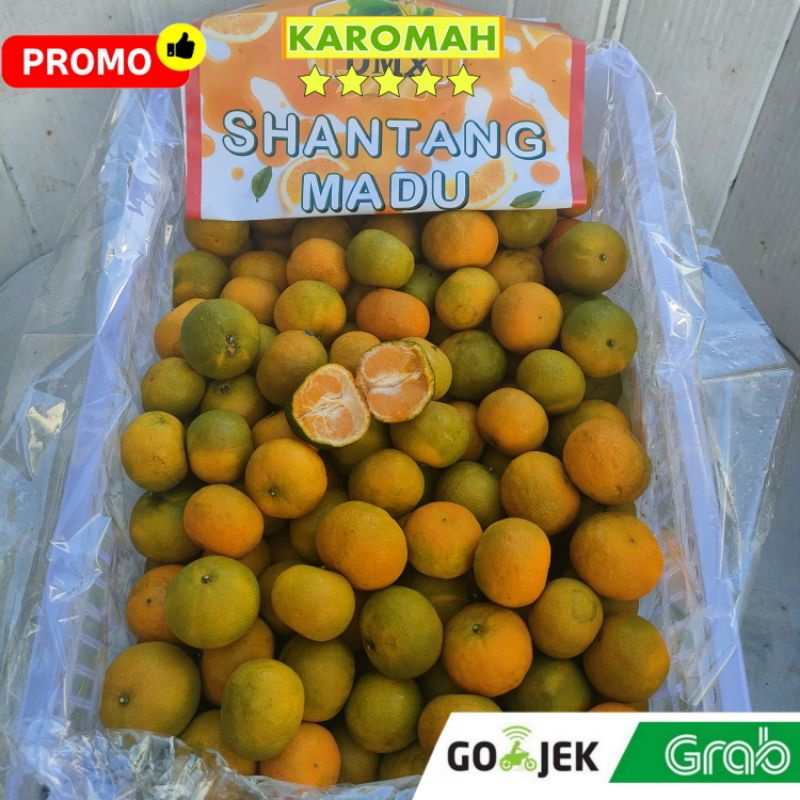 Jual BUAH JERUK KECIL SANTANG MADU / BUAH JERUK SANTANG KECIL FULL ...