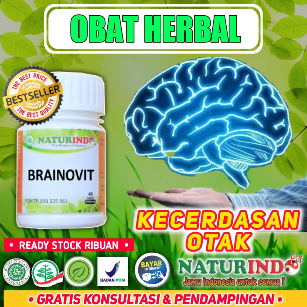 Jual BRAINOVIT Vitamin Otak Dewasa Peningkat Daya Ingat Mencegah Pikun ...