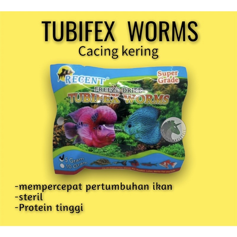Jual CACING KERING TUBIFEX WORMS RECENT 5GR 10GR PAKAN IKAN HIAS KURA ...