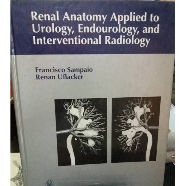 Jual Renal anatomy applied to urology endourology and interventional ...