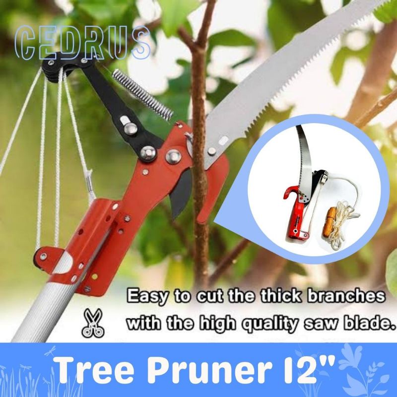 Jual TREE PRUNNER 12 inc - Gergaji Tarik Dahan Pohon Alat Berkebun ...