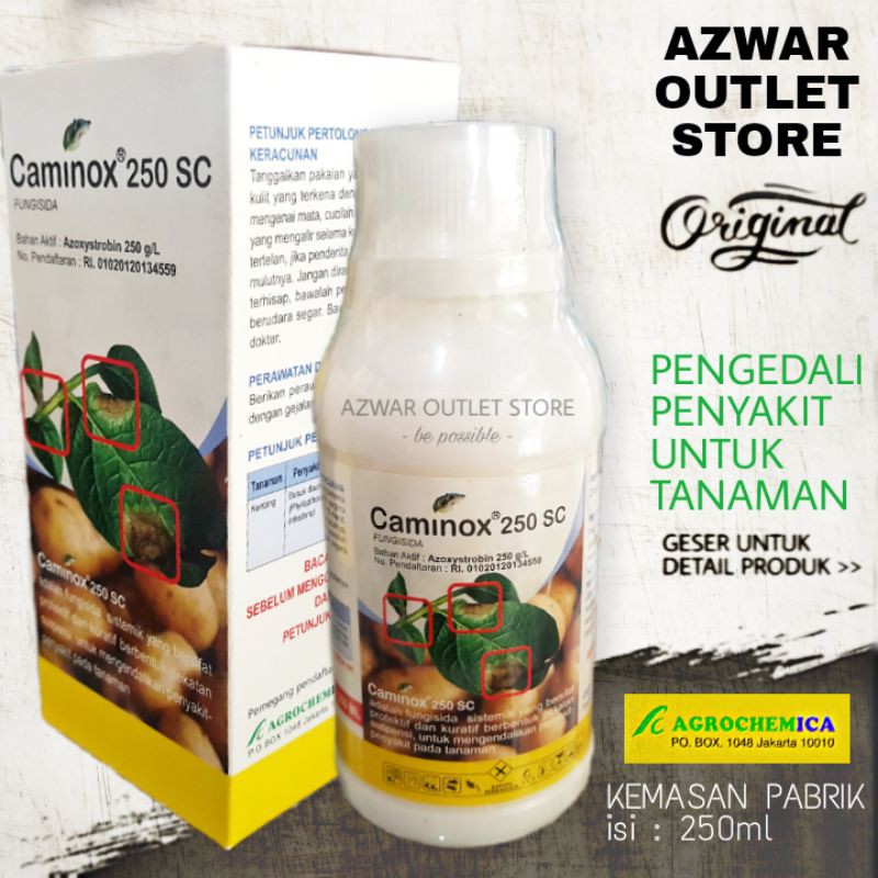 Jual Fungisida sistemik caminox 250SC 250ml | Azoxystrobin obat busuk ...