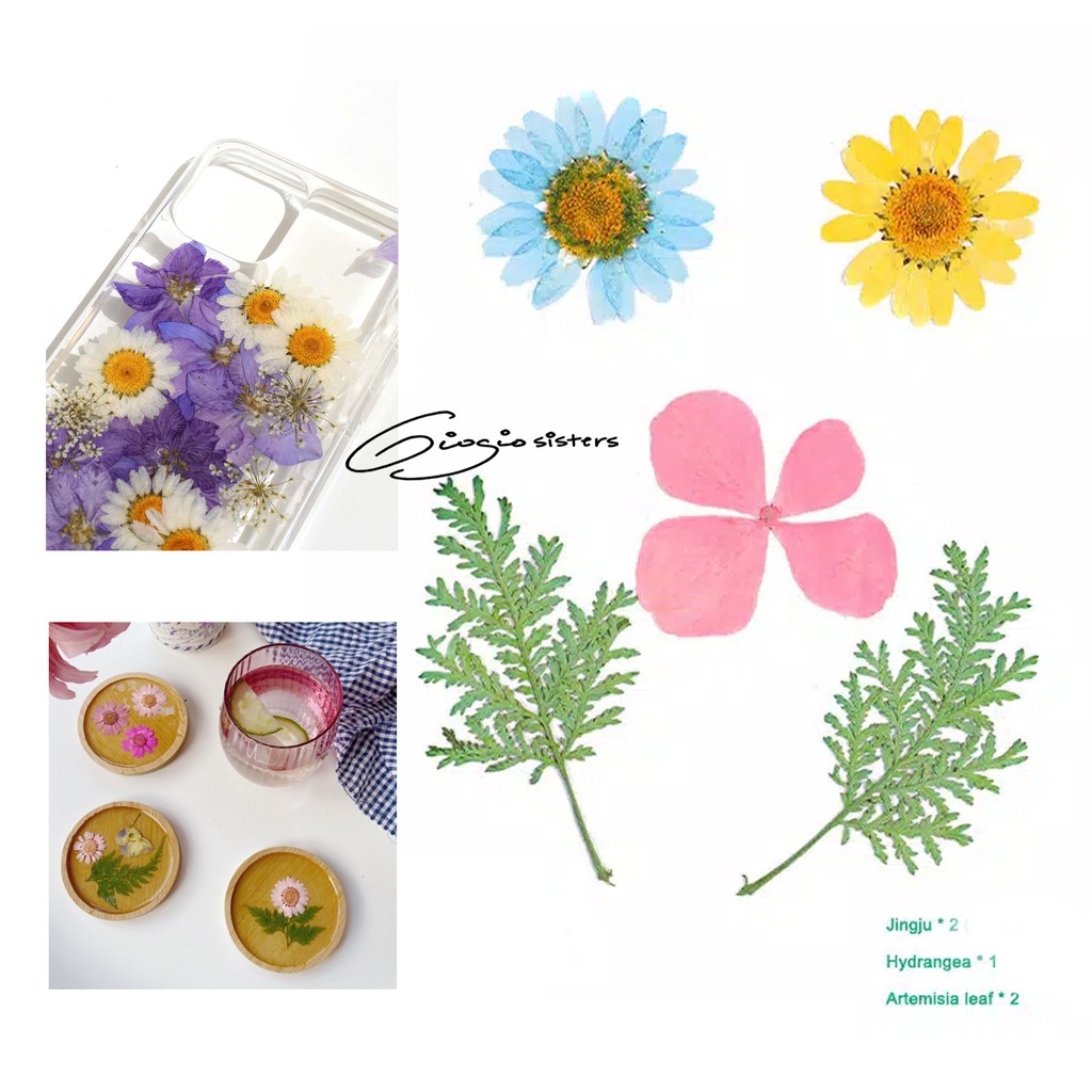 Jual Pressed Flower Dried Flower Pressed Bunga Kering Press Real