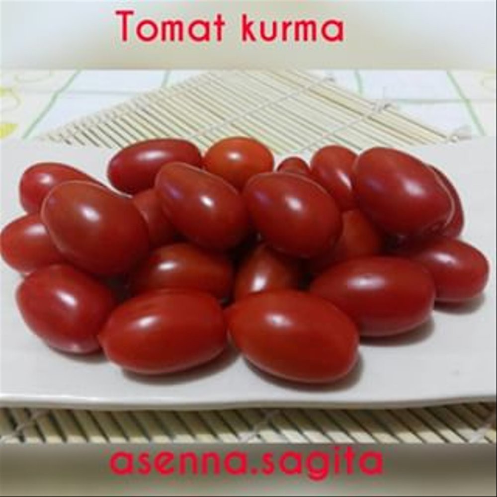 Jual isi 50 Biji benih biji tomat kurma Merah -RSB1990 | Shopee Indonesia