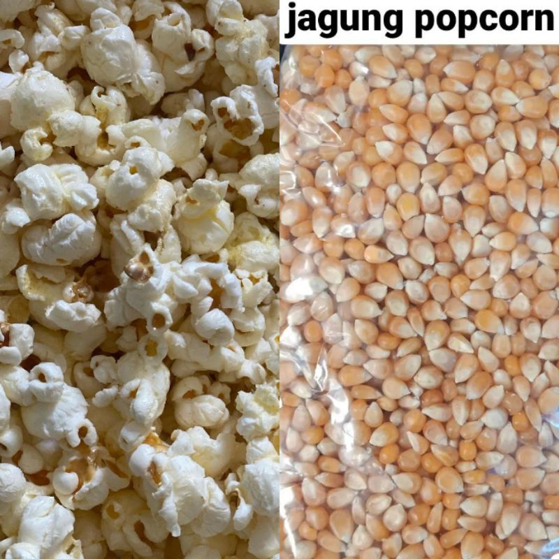 Jual Jagung Popcorn / Jagung Pop Corn / Jagung Kering | Shopee Indonesia