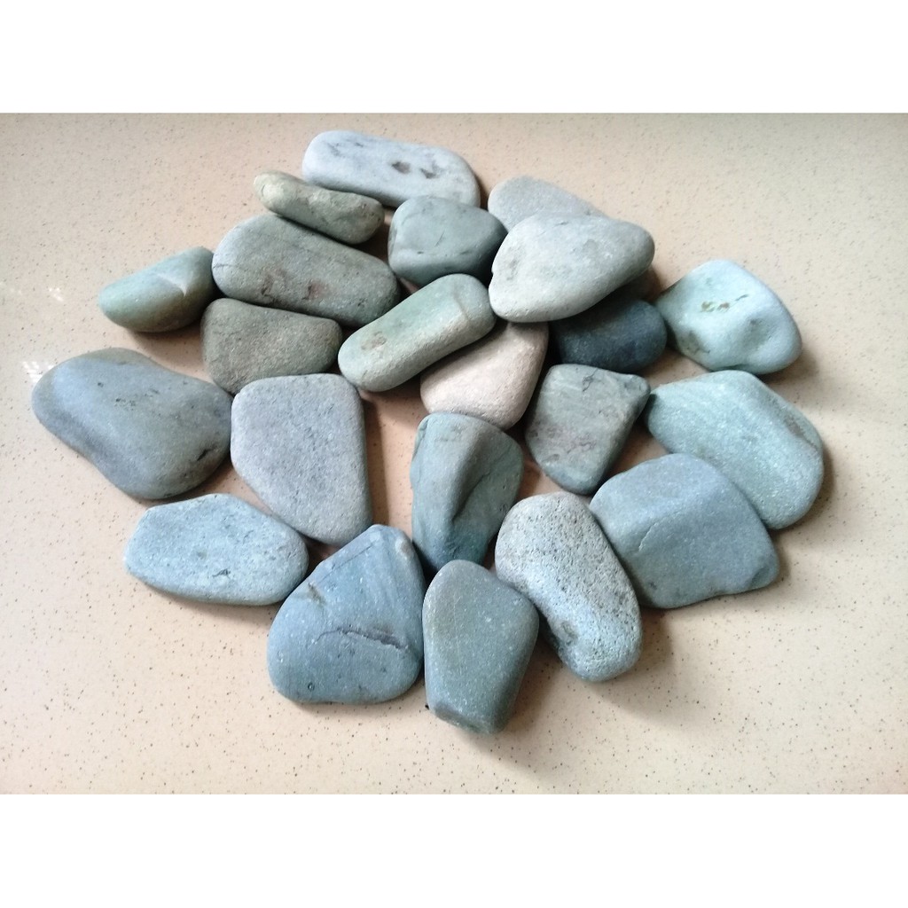 Jual Batu Koral Flores Hijau 3-5cm 1 Kg Taman Terrarium Aquascape | Shopee Indonesia