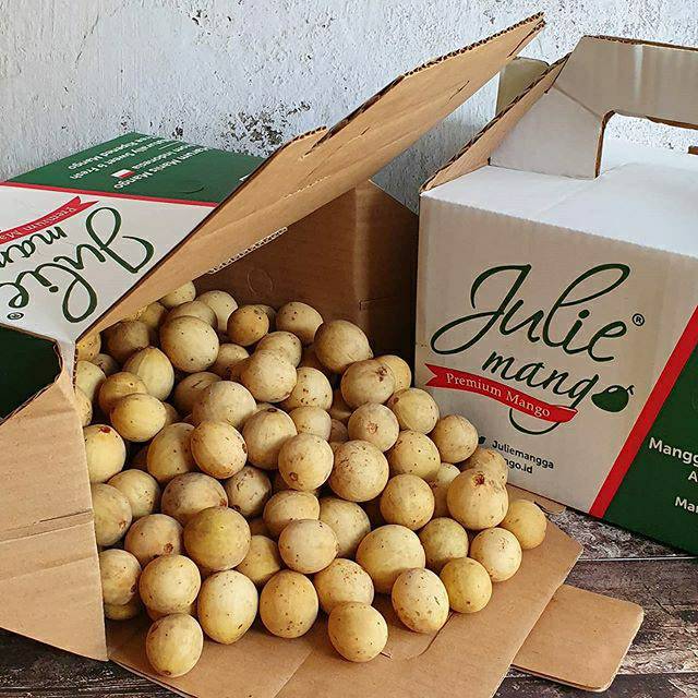Jual Duku Pontianak SEGAR dan MANIS dari Julie Mango Ada yang Sebesar ...