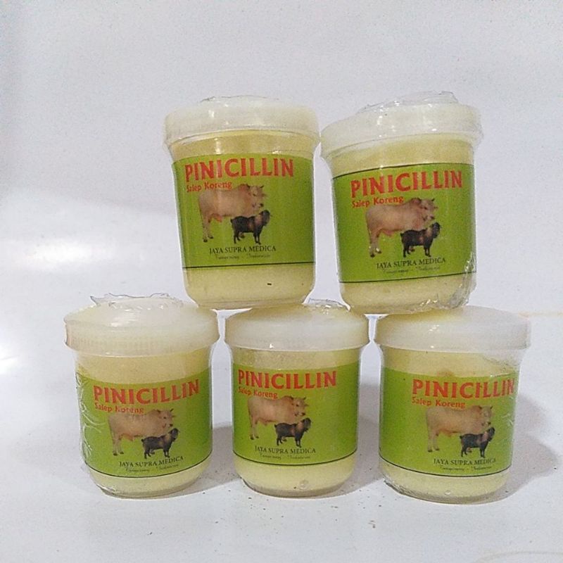 Jual salep koreng hewan / obat luka sapi / pinicilin 1 kaleng(cepuk ...