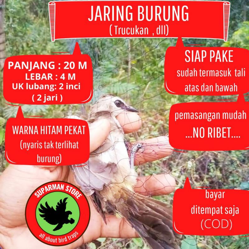 Jual JARING BURUNG TERUCUKAN JARING TRUCUKAN JARING TERUCUKAN JARING ...