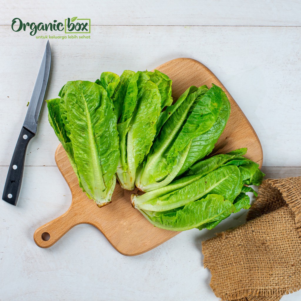 Jual Selada Romaine organik 250gr | Shopee Indonesia