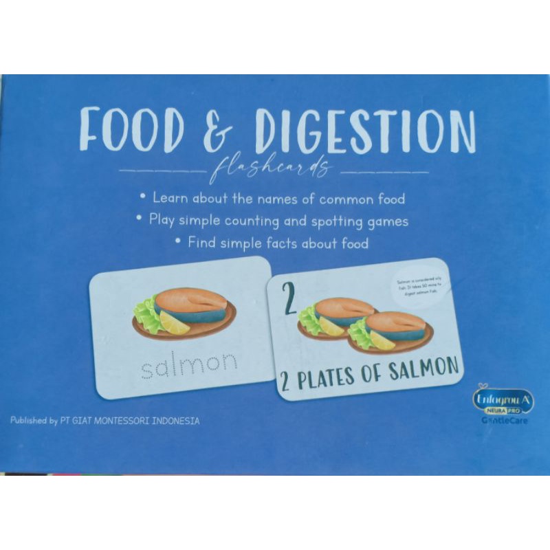 Jual Flash Card Food & Digestion Enfagrow | Shopee Indonesia